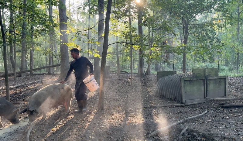Pasture Raised Pork Gunthorp Farm – Tyner Pond Farm